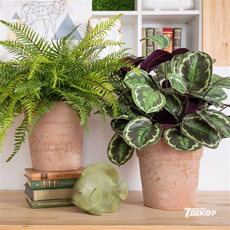 Искусственные растения купить в Москве в интернет магазине 7ЦветовДекор по выгодной цене с