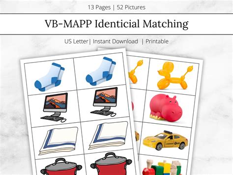 Vb Mapp Identical Matching Aba Materials And Flashcards Printable Flashcards Data Sheet And