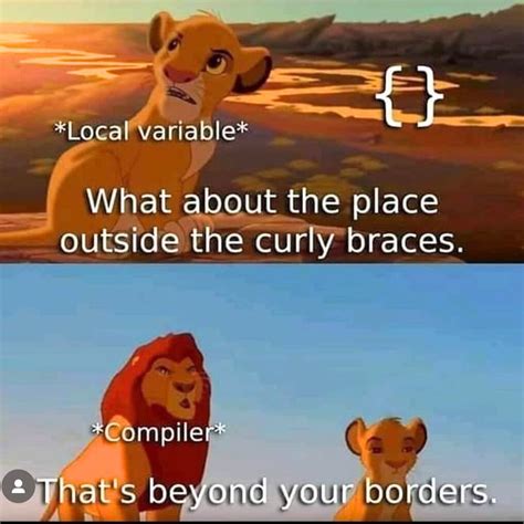 Programmingmeme Programmerhumor Coderlife Softwaredeveloper Buglife Colan Infotech