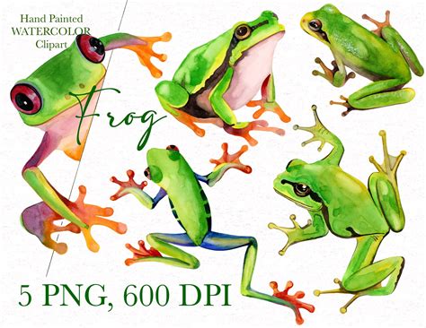 Tadpole To Frog Clipart Eating