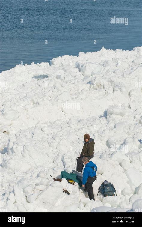 Scientists Conducting Bowhead Whale Survey Count Passing Migrating Whales During Their Spring
