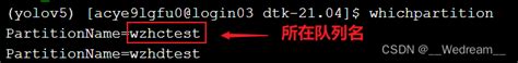 曙光云使用说明 曙光dcu csdn博客