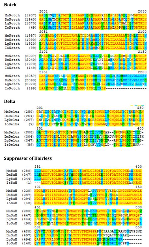 Sequence Alignments Of Partial Predicted Amino Acid Sequences Of Ion
