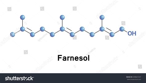 Farnesol Natural 15carbon Organic Compound Which Stock Vector (Royalty ...