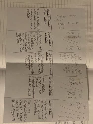 19 Natural Selection And Evolution Flashcards Quizlet