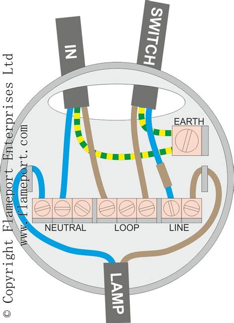 Loop In Ceiling Rose