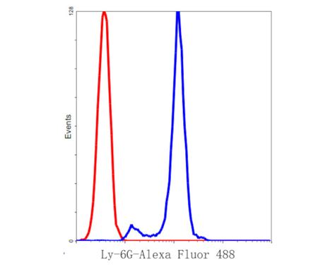 Ly 6g Polyclonal Antibody Pa5 141170