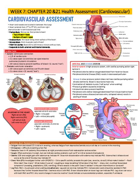 Cardiovascular Notes Week 7 Chapter 20 And 21 Health Assessment