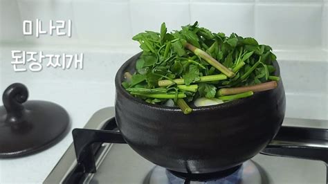 미나리 요리 미나리 된장찌개 레시피 청도 한재미나리 Youtube