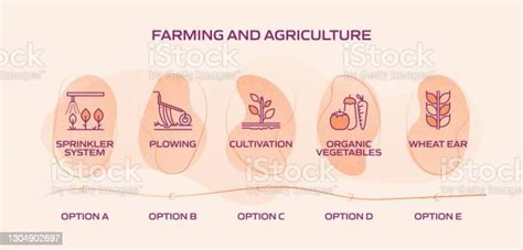 농업 및 농업 관련 프로세스 인포그래픽 템플릿 프로세스 타임라인 차트 아이콘이 있는 워크플로 레이아웃 유기농에 대한 스톡 벡터 아트 및 기타 이미지 Istock