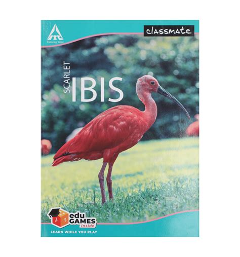 Buy Classmate Classmate Single Line Soft Cover Note Book172 Pages