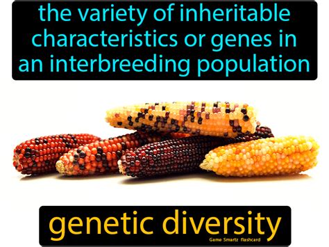 Genetic Diversity Examples
