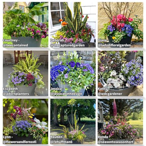 Form Spring Design Challenge With Suntory Crescent Garden Paula Douer