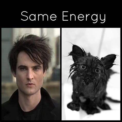 Same Energy Rsandman