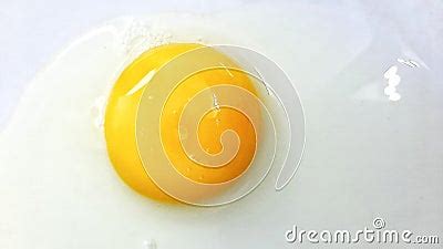 Egg Yolks And Egg Whites Without Shells Royalty Free Stock Image CartoonDealer Com