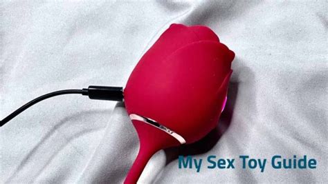 How To Charge The Rose Toy Pro Tips From A Sex Toy Tester My Sex