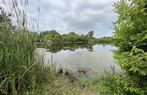 Best Hikes And Trails In Ofallon Alltrails