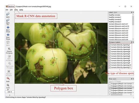 Examples Of Two Data Annotation Methods A Faster R Cnn Data