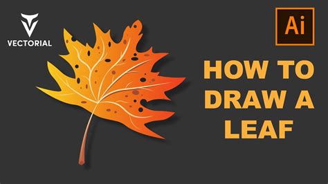 How To Draw Leaf In Illustrator