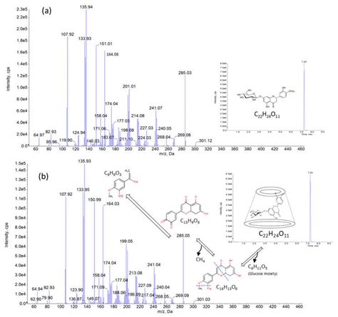 Lc Ms Ms Extracted Ion Chromatogram Of A Pure Hept7g Standard And
