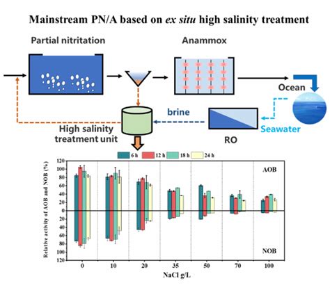 环化学院硕士研究生在《renewable And Sustainable Energy Reviews》和《bioresource Technology》上连续发表最新研究成果 上海大学