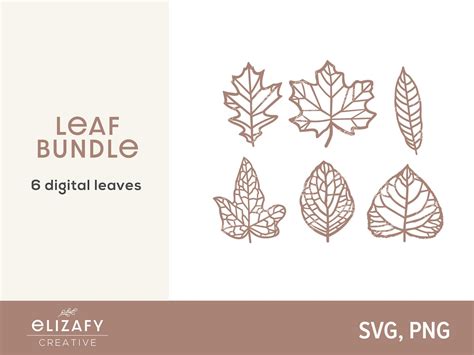 Leaf Bundle SVG Leaf SVG Leaves Svg Fall Leaf Bundle Skeleton Leaf Svg Hand Drawn Leaves Leaves