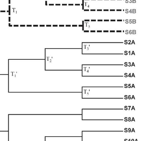 8 A Gene Duplication Event Occurred At Time T 0 A With An Alternative Download Scientific
