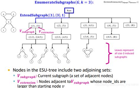 【图神经网络】——“斯坦福cs224w”课程笔记（三）esu算法 Csdn博客
