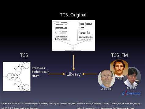 Tcs A New Multiple Sequence Alignment Reliability Measure