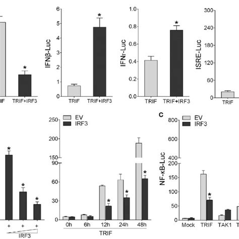 Irf3 Represses Trif Mediated Nf κb Signaling Pathway A Hek293 Download Scientific Diagram