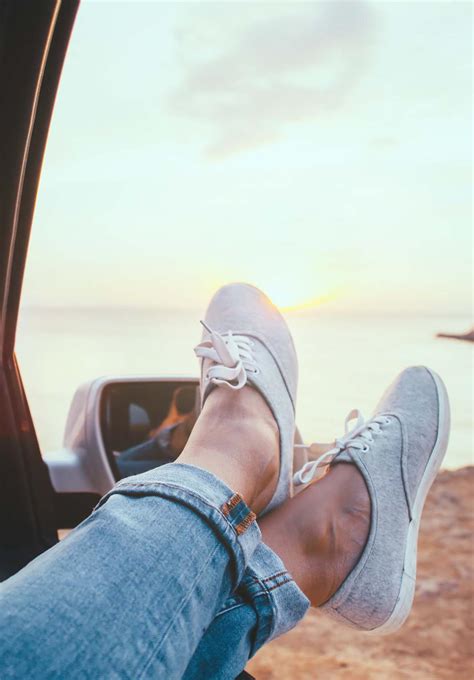 Everywhere Genesis Nz