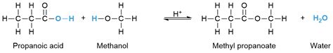 Organic Reactions Esterification And Transesterification Student