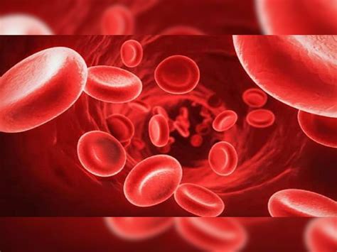 Normal Hemoglobin Level By Age What Is The Normal Hemoglobin Range