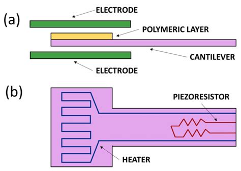 Overview Of Gas Sensors Focusing On Chemoresistive Ones For Cancer Detection