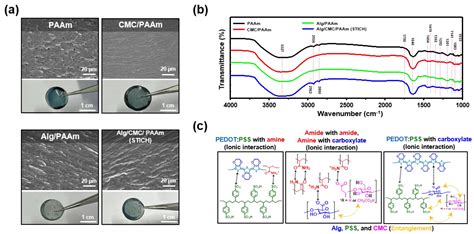 Stretchable Surface Electrode Arrays Using An Alginatepedotpss Based