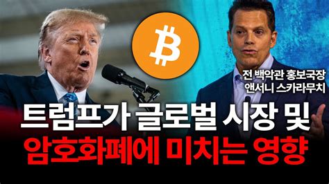 비트코인 트럼프가 당선된다면 암호화폐의 운명은 Youtube