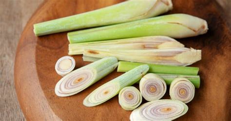 Lemongrass 101 All You Need To Know About This Zesty Herb