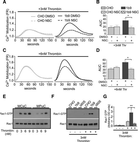Signaling Mediated Cooperativity Between Glycoprotein Ib Ix And