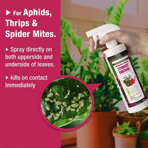 Ecovenger 16 Oz Garden Insect Control Natural Insect Killer Cf Kubj