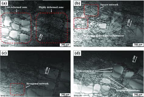 Tem Bright Field Bf Micrographs Showing Dislocation Configurations In Download Scientific
