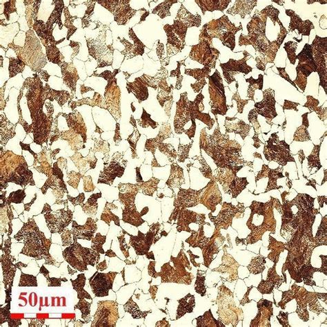 Microstructure Of The Aisi 1045 Substrate Download Scientific Diagram