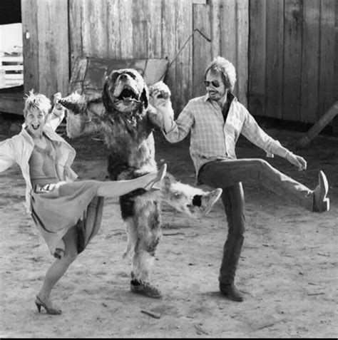 Behind The Scenes Of Cujo 1983 Album On Imgur