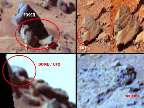 Curiosity Photo Shows UFO Dome Fossils Prehistoric Skeleton On Mars