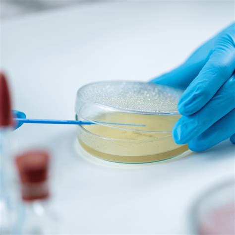 Textile Testing Lab Comprehensive Textile Testing Laboratory Services