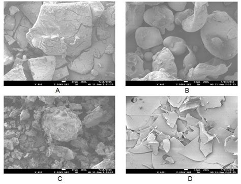 5 Scanning Electron Microphotographs Of Dxm Hbr A 2 Hpßcd B 1 1 Download Scientific