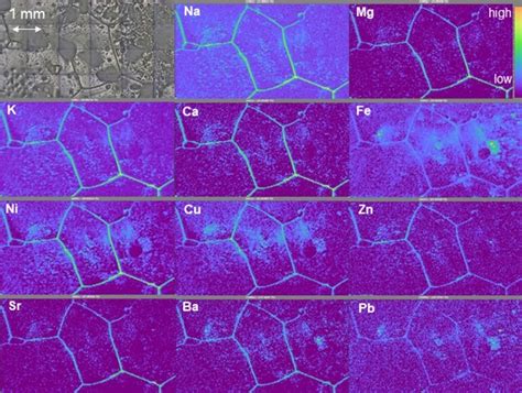 Elemental Imaging Of Antarctic Ice Cores