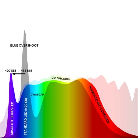 D65 Light Source Spectrum