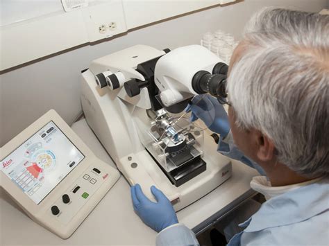 Types Of Microscopes Understanding The Differences And Uses