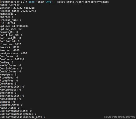 全网最详细haproxy配置haproxy配置详解 Csdn博客
