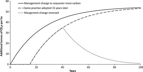 Stylized Dynamics Of Carbon Sequestration Download Scientific Diagram
